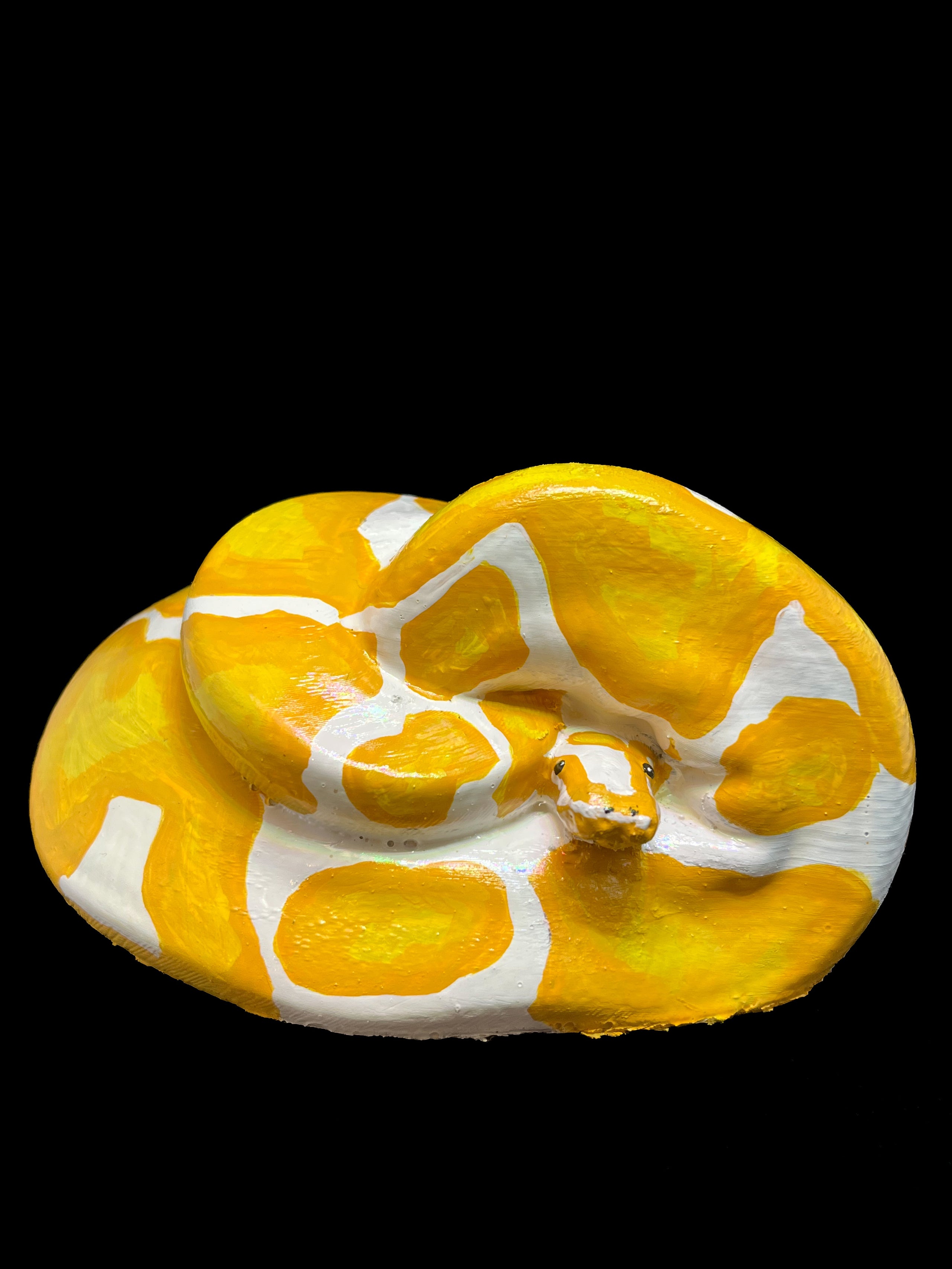 Hand painted albino ball python | Black Creek Wildlife Center