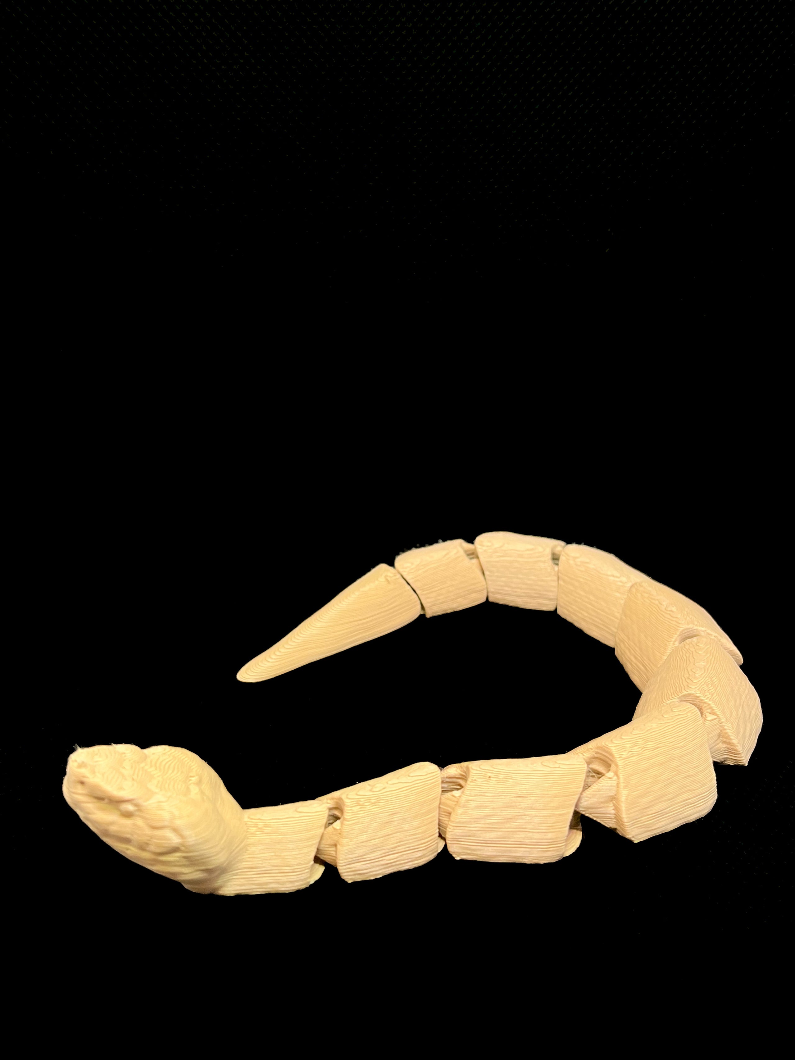 Articulated snake (tan) | Black Creek Wildlife Center