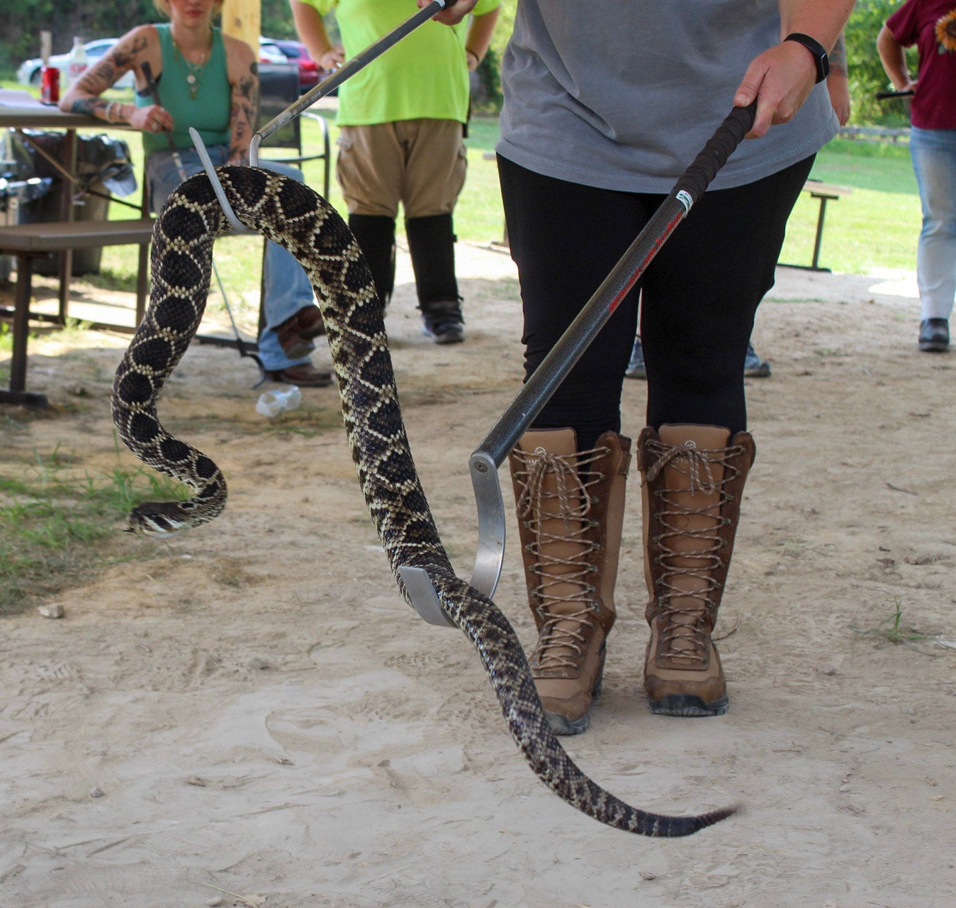 ADVANCED SNAKE SAFETY | Black Creek Wildlife Center